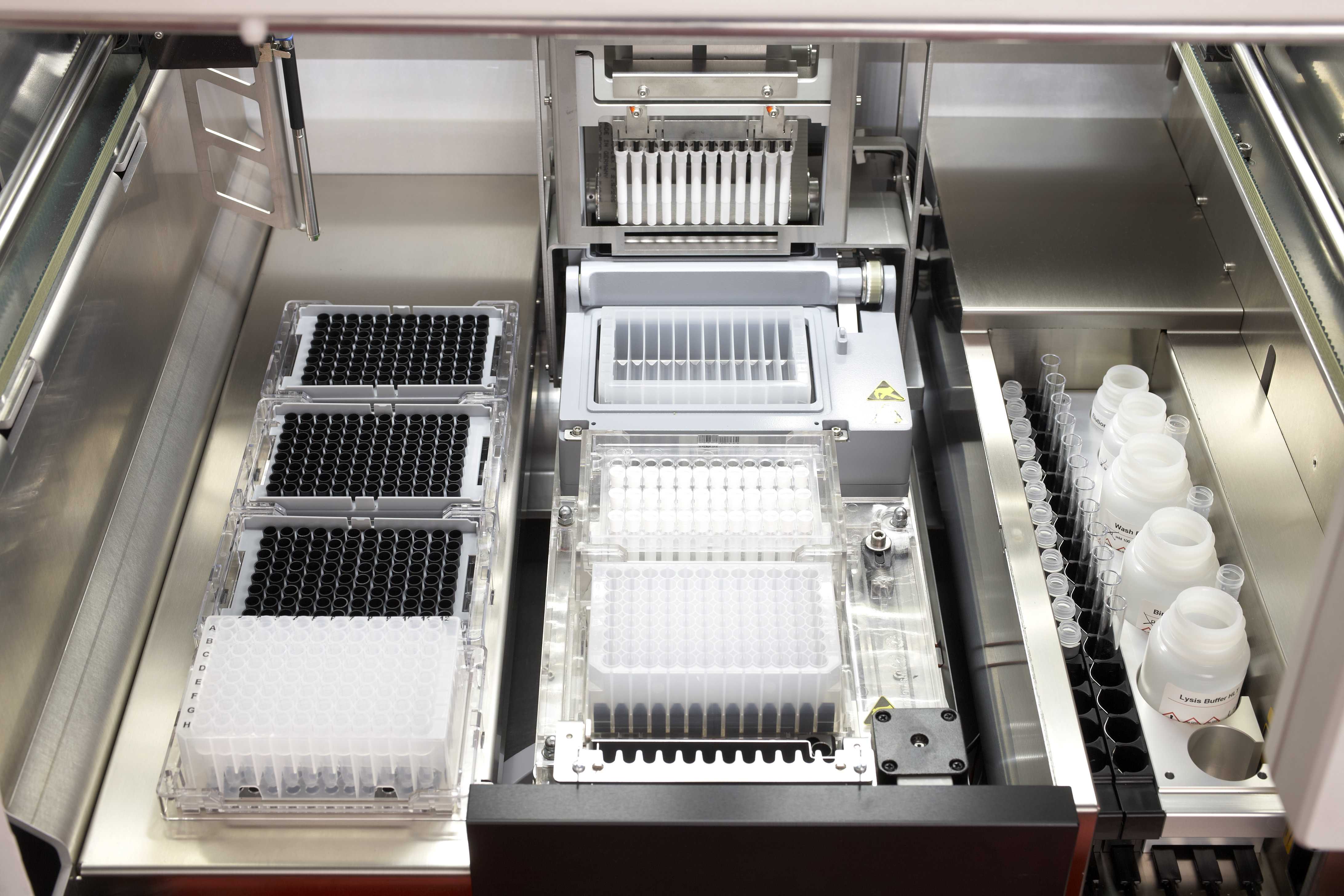 InviMag® Blood DNA Mini Kit/ IG