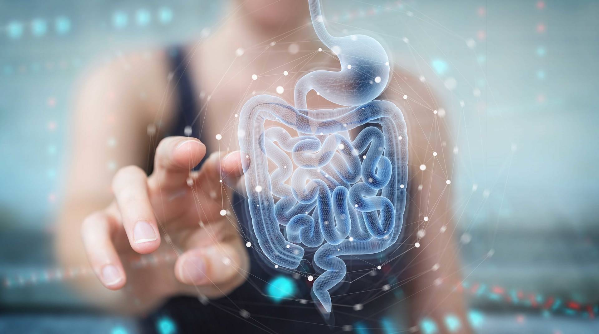 Gut Microbiome NGS Sequencing Service